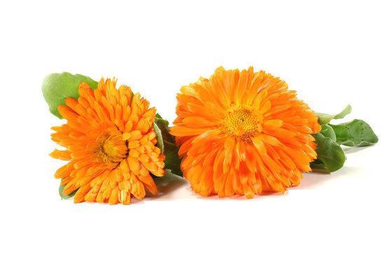Eye Protection Natural Food Coloring Powder , 5% Marigold Flower Extract  Zeaxanthin Powder