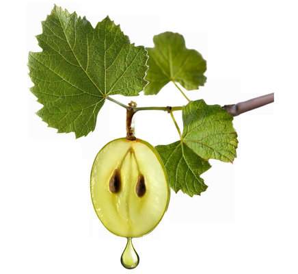 Skin Care Anthocyanin Extract Powder Anti - Aging 95% Proanthocyanidins Powder