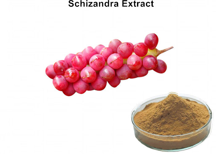Enhance Liver Detoxification Fruit Extract Powder 9% Schizandrins Schisandra Extract