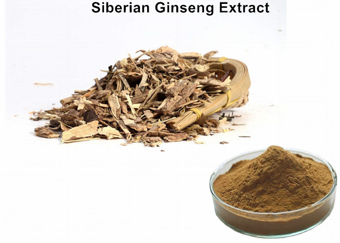 Siberian Ginseng Root Extract Anti - Fatigue , Natural Plant Extracts Brown Powder