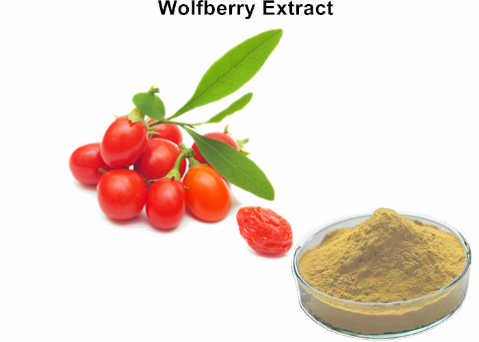 Spray Drying Pure Plant Polysaccharides Wolfberry Extract Powder Non - GMO / Irradiated