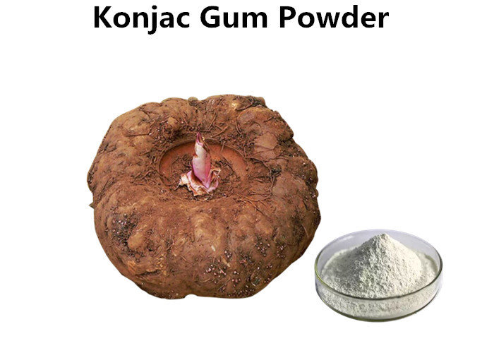 Soluble Fiber None Fat Konjac Gum Powder , Konjac Glucomannan Powder For Weight Loss
