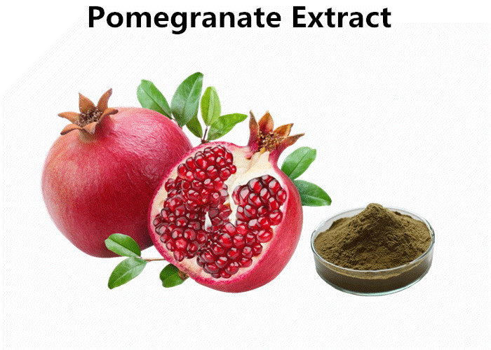 Pure Pomegranate Extract Powder , 30% Polyphenols Pomegranate Peel Powder For Skin