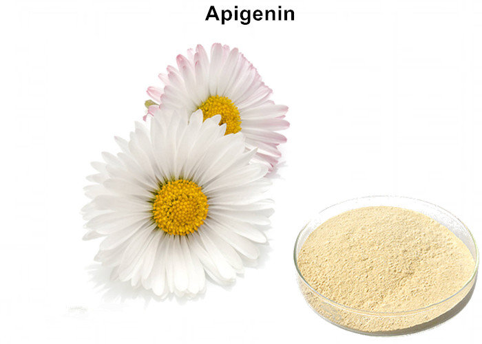 Cardiovascular Protection Monomer Powder Antioxidant Natural 98% Apigenin / Versulin CAS 520 36 5