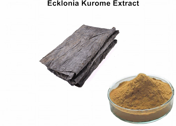 High Standard Plant Polysaccharides Ecklonia Cava Extract Powder UV Anticoagulation