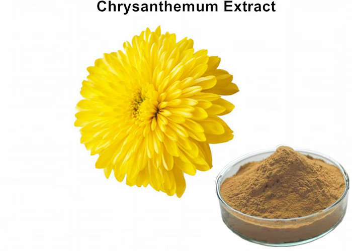 Brown Fine Chrysanthemum Tea Powder , Chrysanthemum Flower Extract Anti - Hypoxia