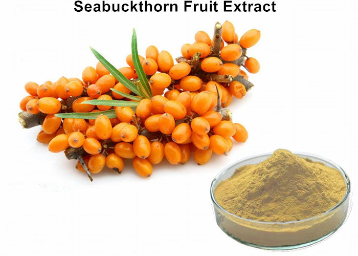 Antioxidant Fruit Extract Powder 1% Total Flavonoids Seabuckthorn Extract Powder