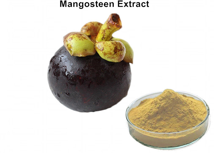Strengthen Immunity Mangosteen Fruit Extract , 10% α-Mangostin Mangosteen Extract Powder