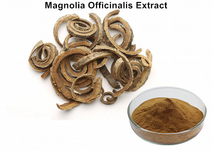 Magnolia Officinalis Extract 2% - 98% Powder Honokiol HPLC anti-bacteria