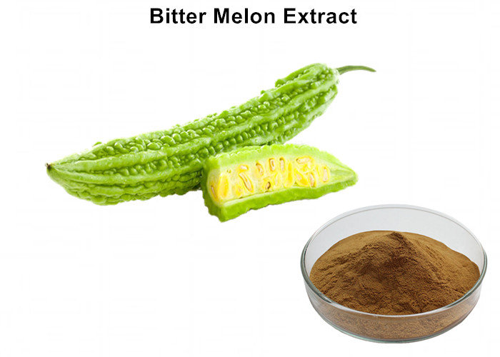 Bitter MelonPlant Extract Powder With 4% Charantin Reducing Blood Sugar No Side Effect