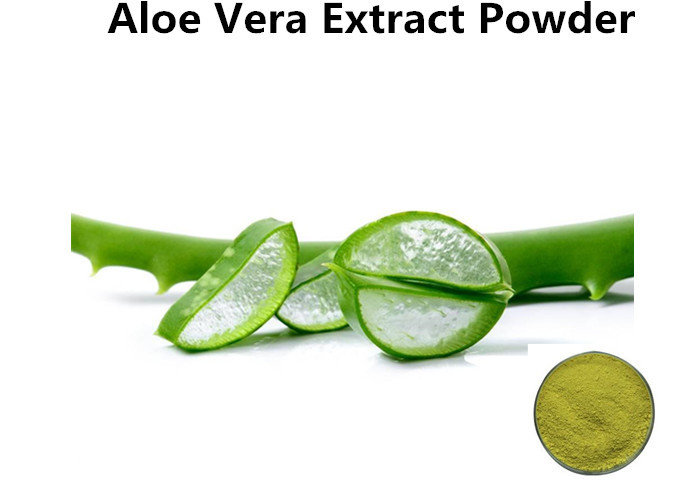 High Purity Aloe Vera Extract Powder 98% Aloin For Cosmetics And Shampoo