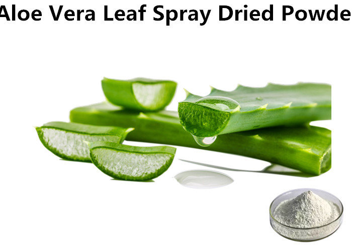 Healthy Aloe Vera Leaf Powder , Spray Dried Aloe Vera Powder For Cosmetics Hygiene Products