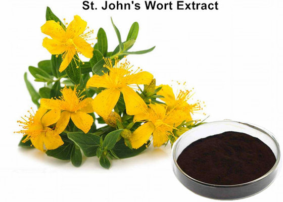 St. John’S Wort Natural Plant Extracts 0.3% Hypericin Natural Anti - Depression