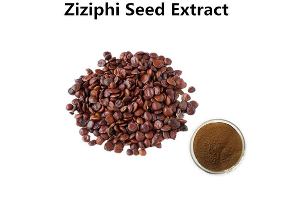 Ziziphi Seed / Spina Date Natural Plant Extracts 2% Jujuboside Sedation Dark Brown Powder