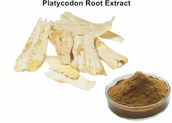 Platycodon Root Natural Plant Extracts 1% Saponins UV Expectorant And Relieving Cough