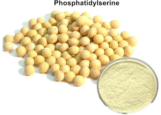 Enhancing Memory Organic Plant Protein Powder , Soya Bean Extract 10% Phosphatidylserine Enhancing Memory
