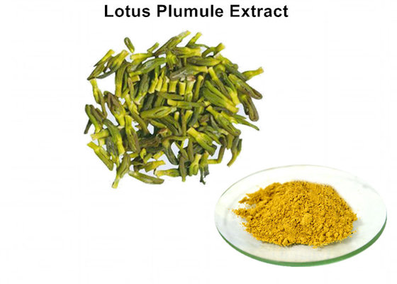 Lotus Plumule Natural Plant Extracts 0.6% Liensinine Lowering Blood Pressure