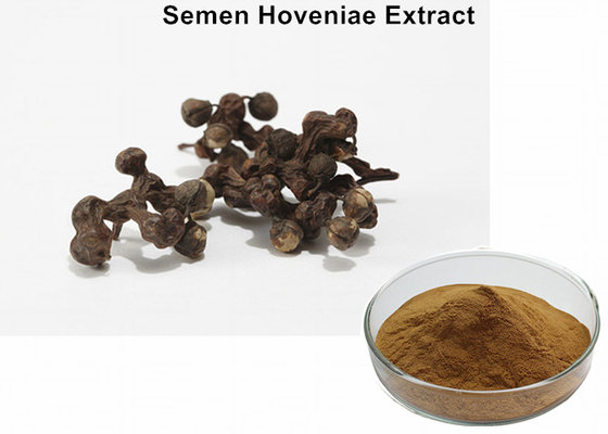 Semen Hoveniae Extract 4% Triterpenoids relieving alcoholism
