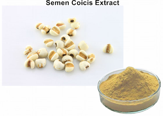 Semen Coicis Extract 0.5% Coixenolide removing acens