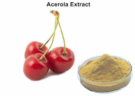 Acerola Cherry Extract Powder , Acerola Fruit Extract Scavenging Free Radicals Whitening