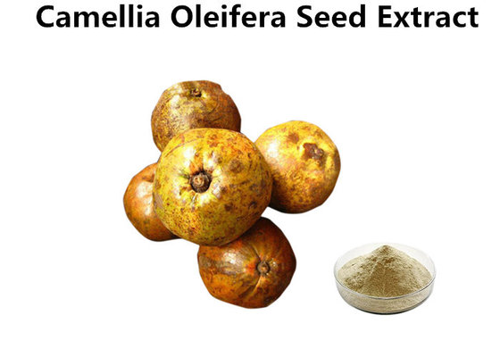 Light Yellow Camellia Oleifera Leaf Extract Powder , Food Grade Tea Saponin Powder