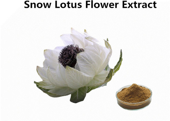 Bulk 8% Flavonoids  Snow Lotus Flower Extract Powder Used for Supplements