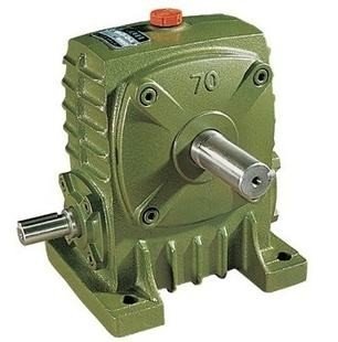 Worm Gear Reducer