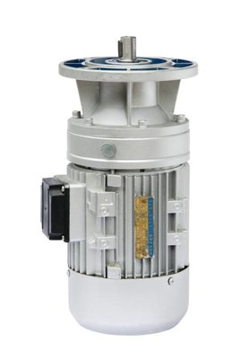 Steel Material Cycloidal Pinwheel Reducer ,100W - 2200W Power Cycloidal Speed Reducer