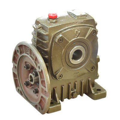 Worm Gear Reducer