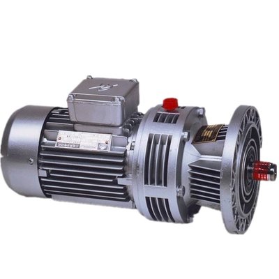ISO9001 Cycloidal Pinwheel Reducer 0.011-161 r/min Output Speed