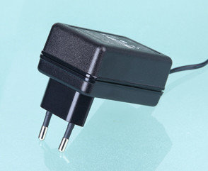 24V 1A AC 24W Power Adapter 100V - 240V AC 50 - 60 HZ Input Light Weight