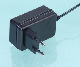 24V 1A AC 24W Power Adapter 100V - 240V AC 50 - 60 HZ Input Light Weight