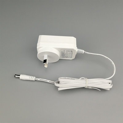 24V 24.0V 0.5A 0.6A AC To DC Power Supply Adapter 50-60Hz For Sweeping Machine