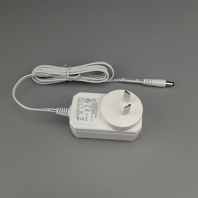 24V 24.0V 0.5A 0.6A AC To DC Power Supply Adapter 50-60Hz For Sweeping Machine