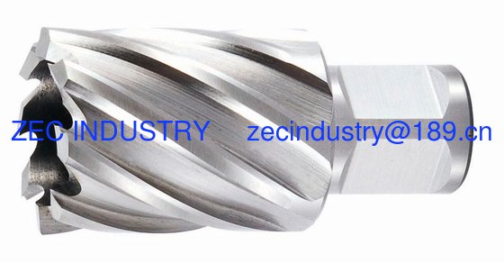 Hss drill bits (HSS annular cutter) supplier