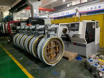 Fujian Lv Yang High-tech Industrial Co., Ltd.