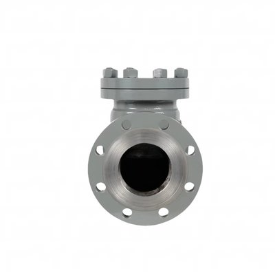 Lift check valve  Swing check valve  Cast steel/stainless steel