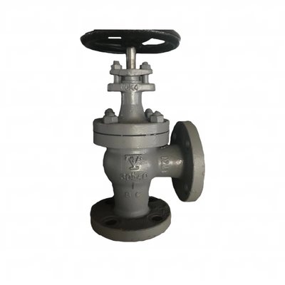 JIS F7375 Marine Cast Iron Globe Check Valve 10K