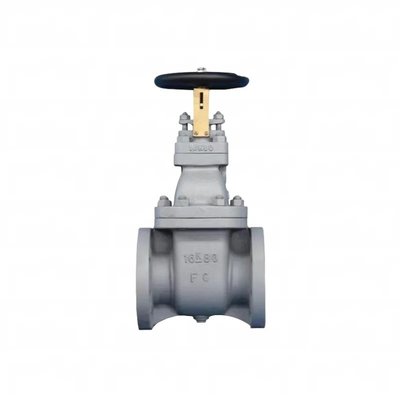 Cast Iron JIS Marine Cast Iron Gate Valve F7363 5K 65A