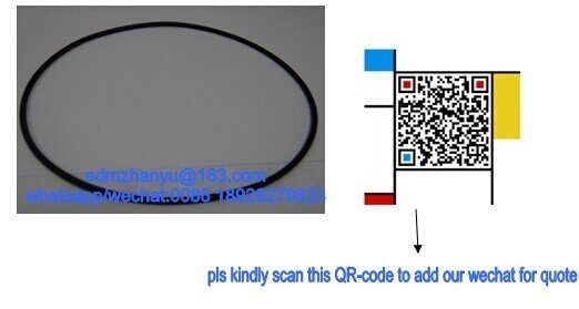 209410177 O ring for Charmilles wire EDM -LS machines