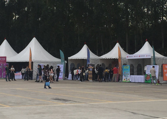 3 X 3m Outside Pagoda Party Tent Flame Retardant Sidewalls With White Window