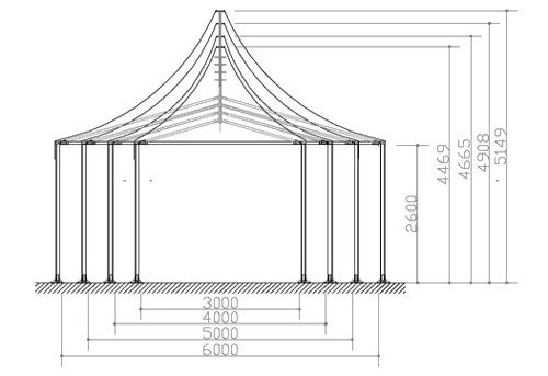 10x10‘ Pagoda Party Tent With Strong Waterproof  Transparent PVC