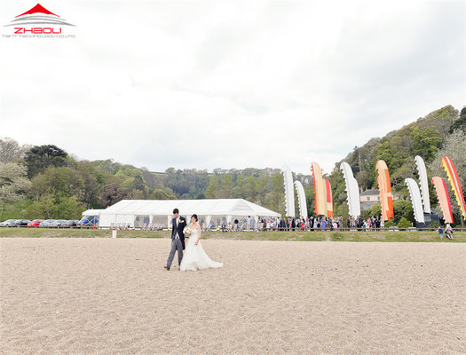 Reusable Custom Canopy Tents Backyard Gazebo For Family Party And Exhibition