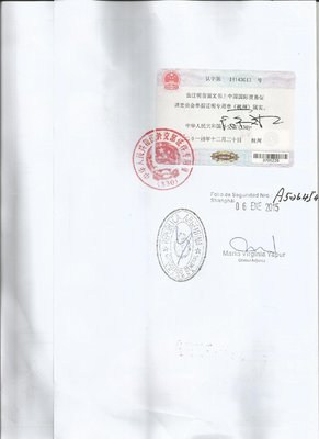 Argentina embassy certification/certificate of origin/invoice/price list/export declaration /15 working days