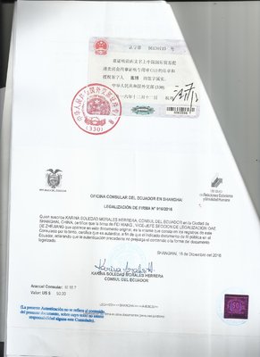 Ecuadorian embassy certification /12 working days.