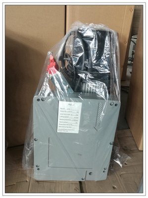 Indonesia temporary suspended platform aluminium motoried gondola ZLP800 supplier