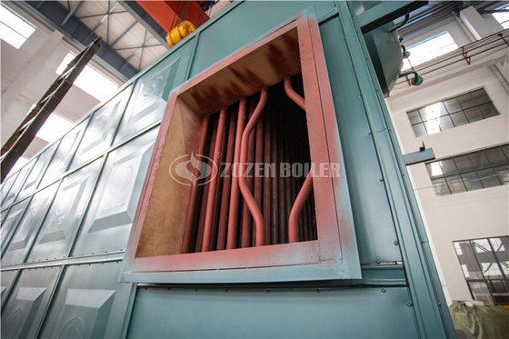 Reliable Reputation 1-20 ton per hour Industrial Biomass Fired Boiler