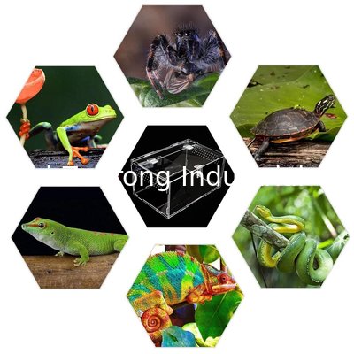 Factory wholesale Habitat for Reptile Crystal Acrylic Breeding Enclosure for Pet, crystal acrylic breeding enclosure